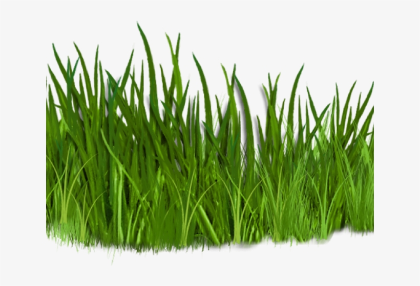 Download Cliparts Grass Border - Grass Png For Photoshop | Transparent ...