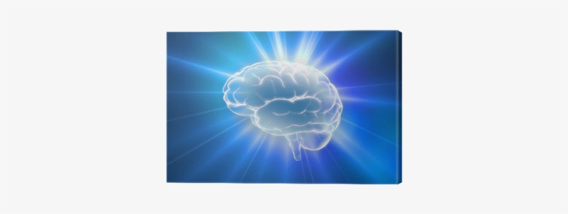 Brain Waves PNG Image | Transparent PNG Free Download on SeekPNG