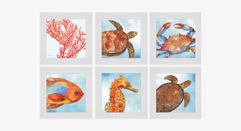 Oceana Pk/6 - Loggerhead Sea Turtle PNG Image | Transparent PNG Free ...