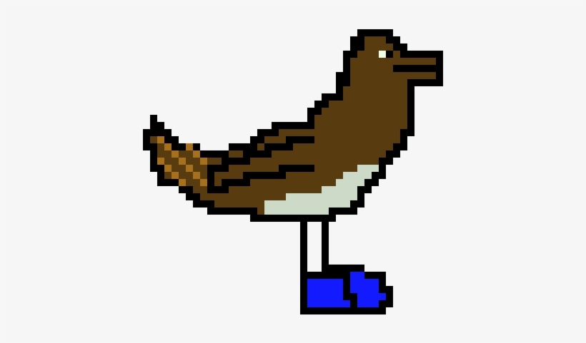 Roadrunner PNG Image | Transparent PNG Free Download on SeekPNG