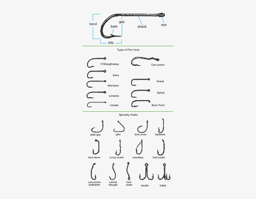 Fish Hook Styles PNG Image | Transparent PNG Free Download on SeekPNG