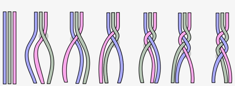 Braiding A-technique - Steps How To Braid PNG Image | Transparent PNG ...