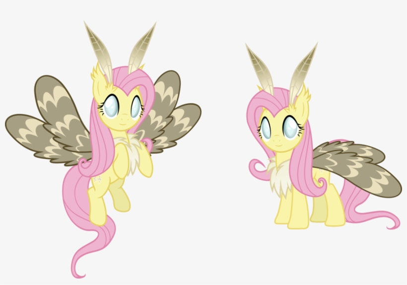 Images Of Fluttershy - Mlp Moth Pony PNG Image | Transparent PNG Free ...