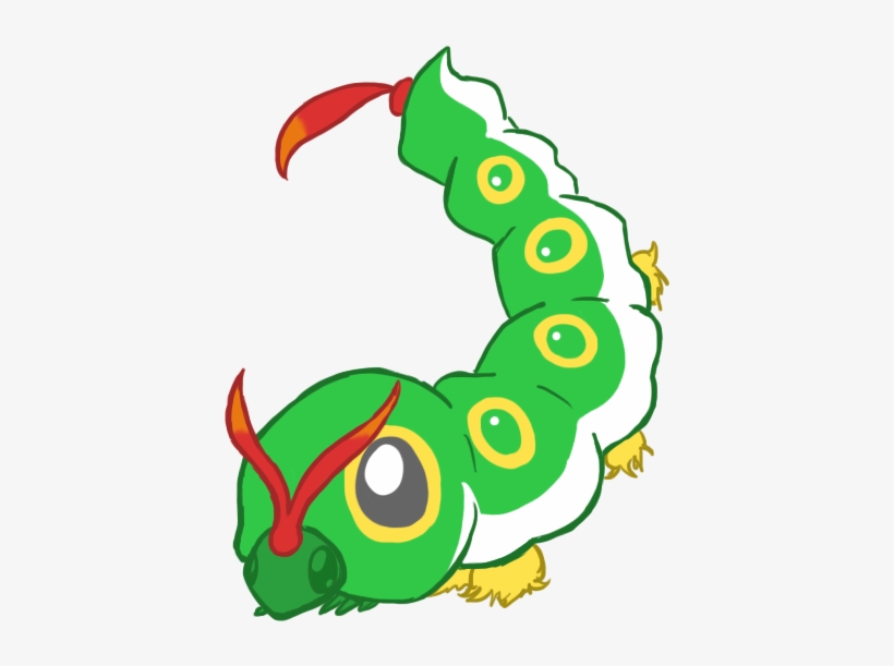View Caterpie-01 , PNG Image | Transparent PNG Free Download on SeekPNG