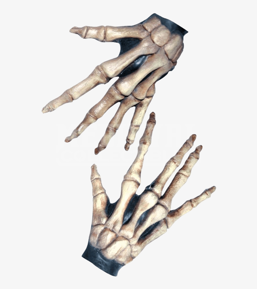 Skeleton Arms Png - Korte Skeletten Handschoenen Voor Volwassenen PNG ...