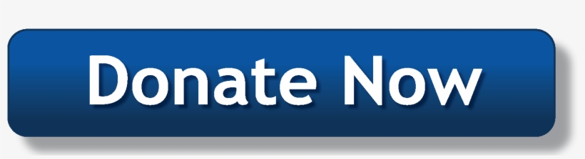 Donate Now - Donation PNG Image | Transparent PNG Free Download on SeekPNG