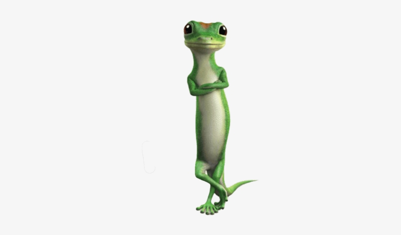 Download Share This Image - Geico Gecko | Transparent PNG Download ...