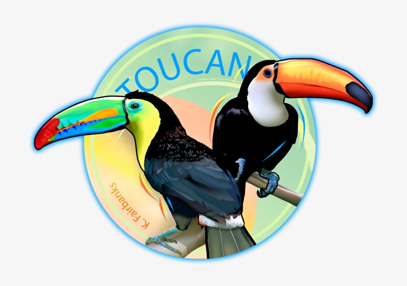 Toucan Digital Drawing By K - Toucan Drawing With Color PNG Image ...