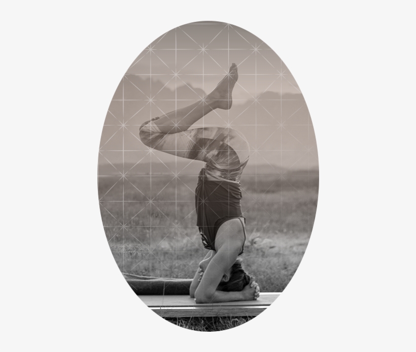 Read More - Kickflip PNG Image | Transparent PNG Free Download on SeekPNG