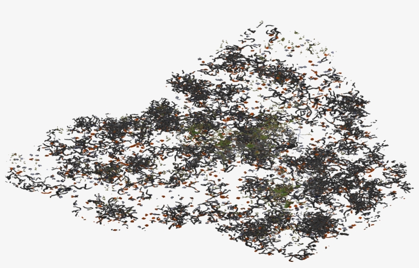 Cave - Christmas Tree PNG Image | Transparent PNG Free Download on SeekPNG