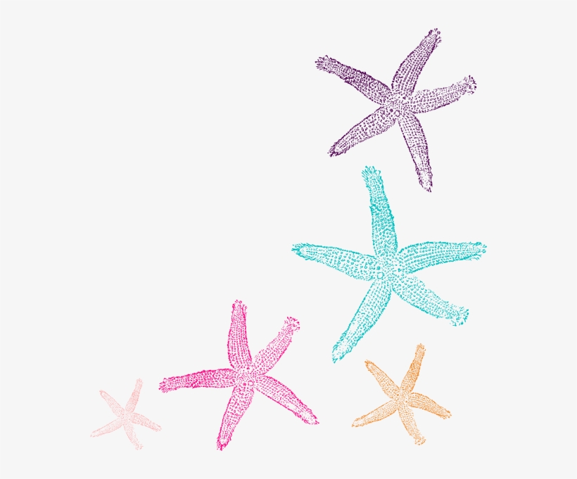 Starfish Border Clip Art
