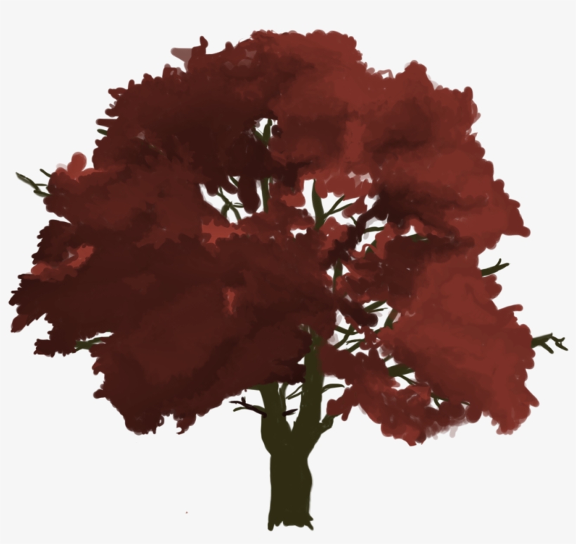 Swamp Maple PNG Image | Transparent PNG Free Download on SeekPNG