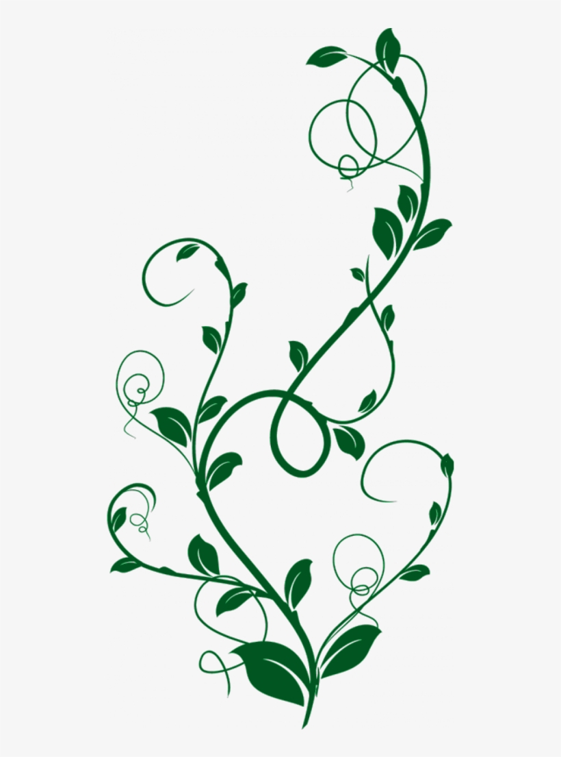 Vector Graphics PNG Image | Transparent PNG Free Download on SeekPNG