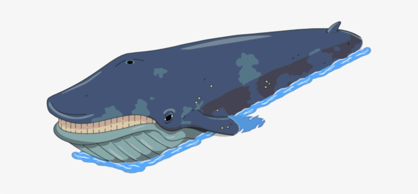 File - Whale - Whales PNG Image | Transparent PNG Free Download on SeekPNG