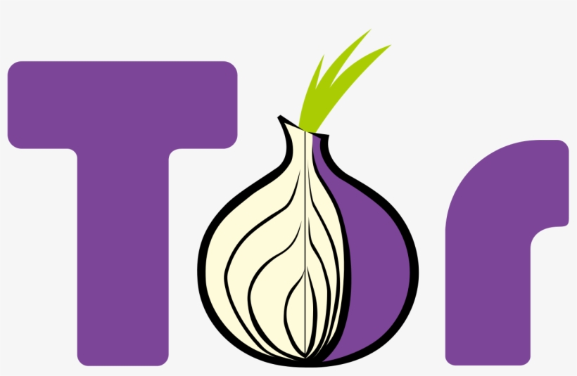 Tor Browser PNG Image | Transparent PNG Free Download on SeekPNG