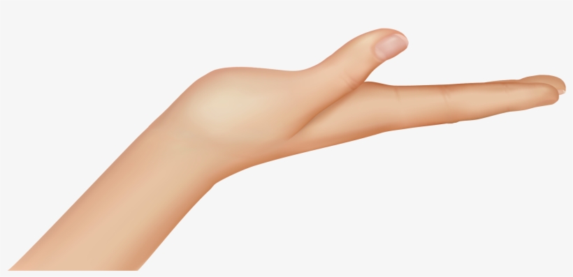 Hand Png Clipart Image - Hand Showing Something Png PNG Image ...