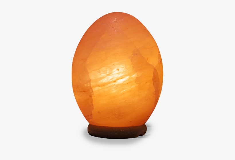 Egg-shape - Avatar PNG Image | Transparent PNG Free Download on SeekPNG