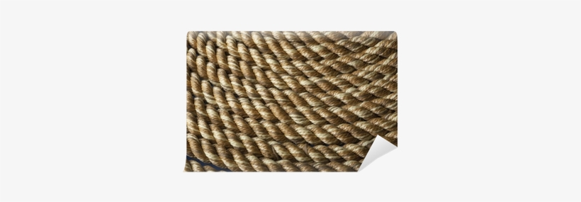 Rope PNG Image | Transparent PNG Free Download on SeekPNG