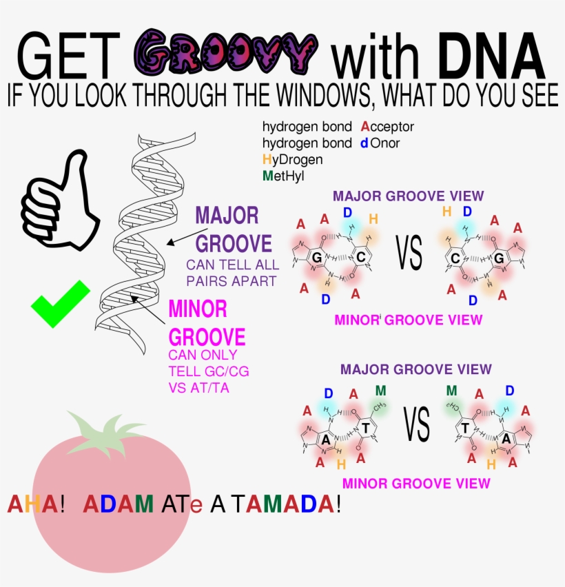 Open - Wikimedia Commons PNG Image | Transparent PNG Free Download on ...