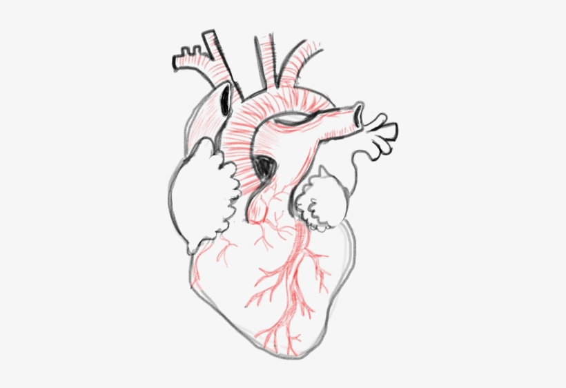 Download This Is The Final Step - Sketch | Transparent PNG Download ...