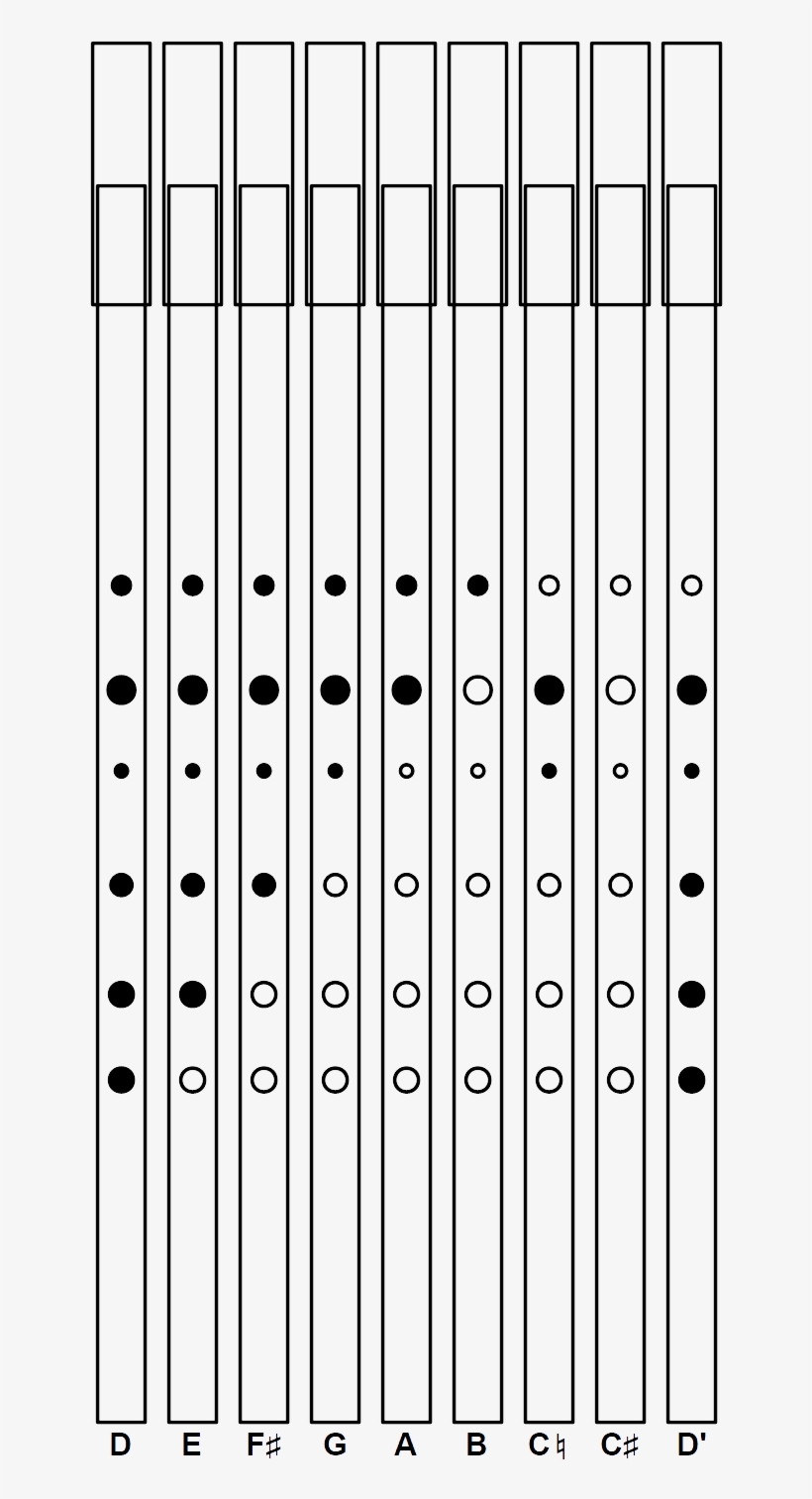 Tin Whistle Fingering Chart In D - Tin Whistle Notes PNG Image ...