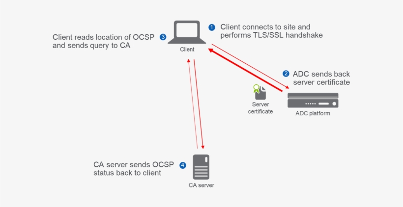 Certificate Revocation 4 - Certificate Revocation List PNG Image ...