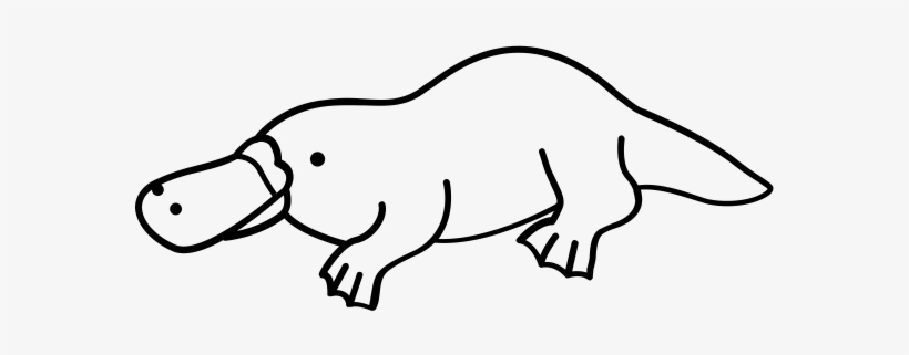 Download About Us - Platypus Outline | Transparent PNG Download | SeekPNG