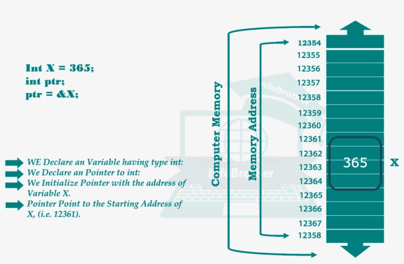 Pointer PNG Image | Transparent PNG Free Download on SeekPNG