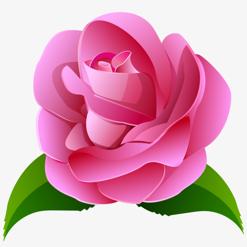 Pink Rose Clipart Japanese Rose PNG Image | Transparent PNG Free ...