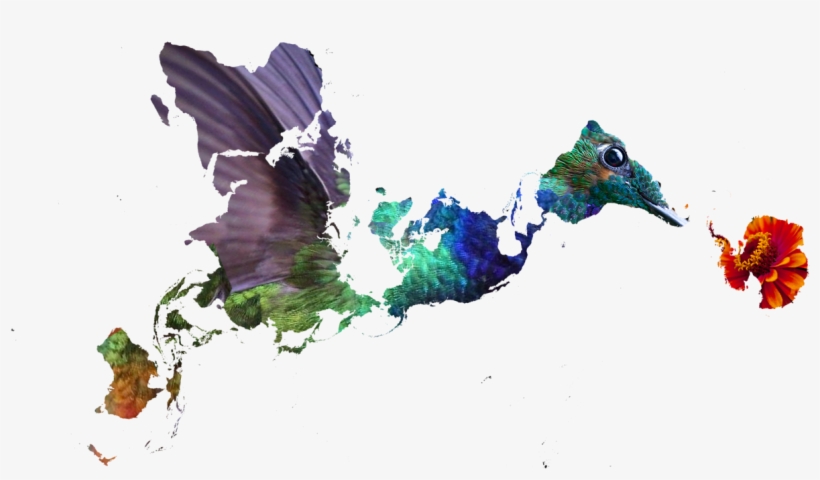 Hummingbird Earth No Bg [oc] - Dymaxion World Map (fuller Projection ...