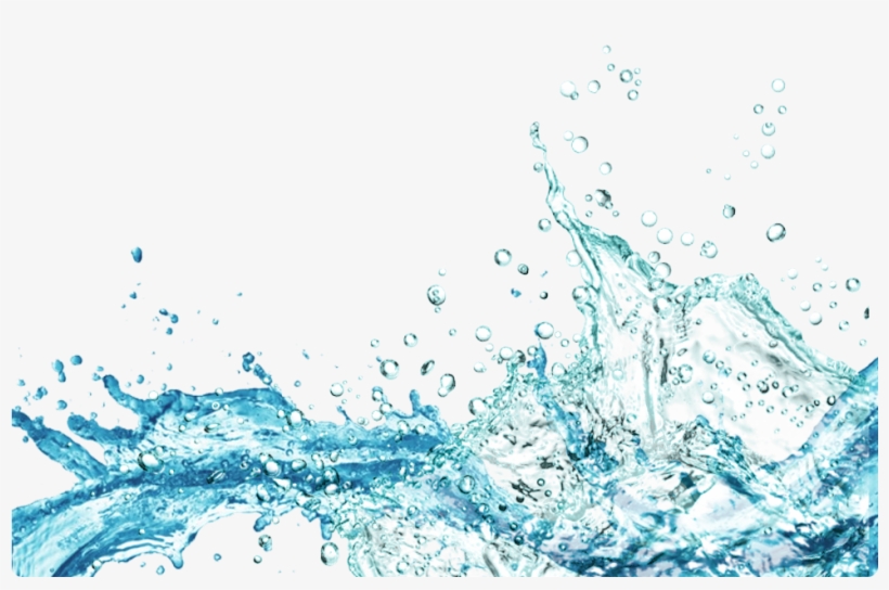 Download Coca Cola Kinley Logo | Transparent PNG Download | SeekPNG