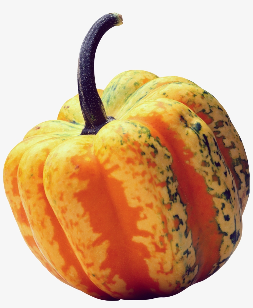 Gourd Transparent Background PNG Image | Transparent PNG Free Download ...