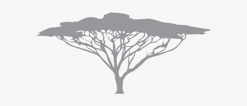 Download Acacia Tree | Transparent PNG Download | SeekPNG