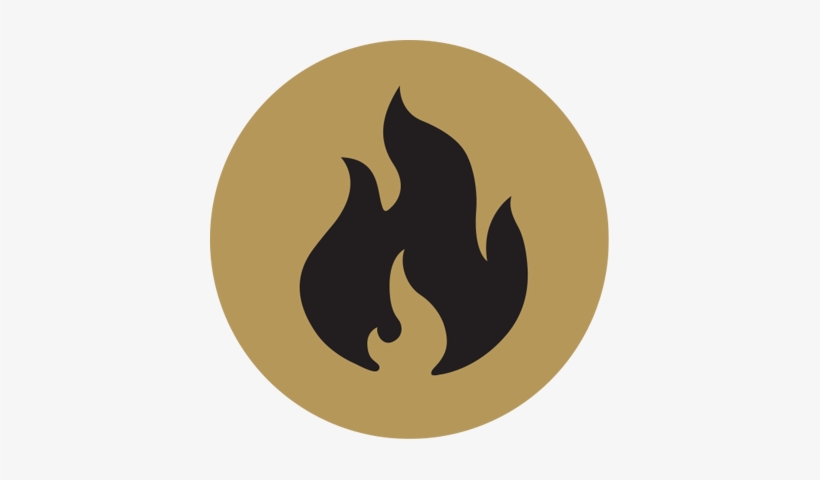 Download Fire Damage - Paul Davis Restoration Icons | Transparent PNG ...