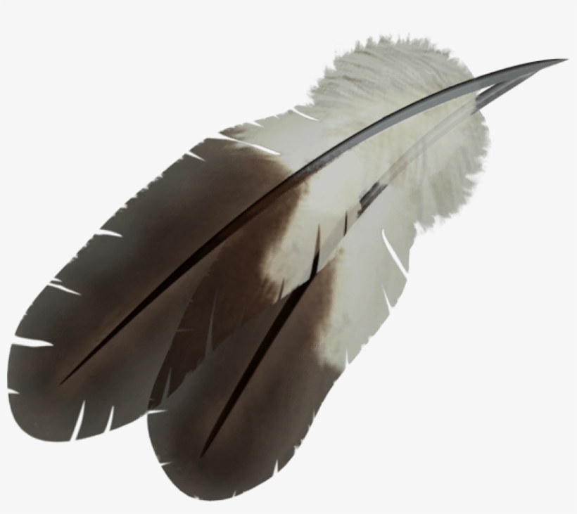 Download Free Png Feather Png Images Transparent - Native American ...