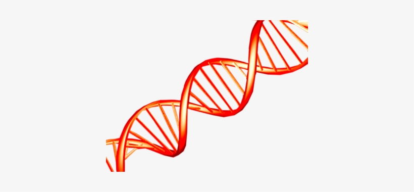 Dna Vector Png Vector Royalty Free Stock - Red Dna Png PNG Image ...