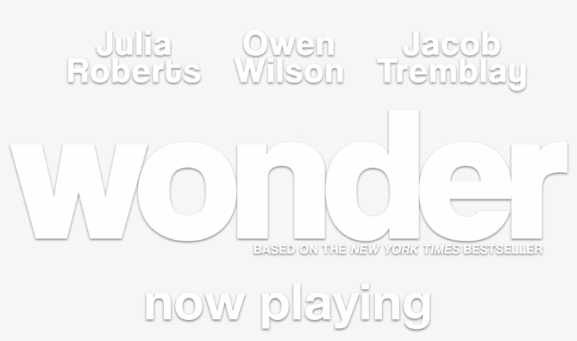 Wonder PNG Image | Transparent PNG Free Download on SeekPNG