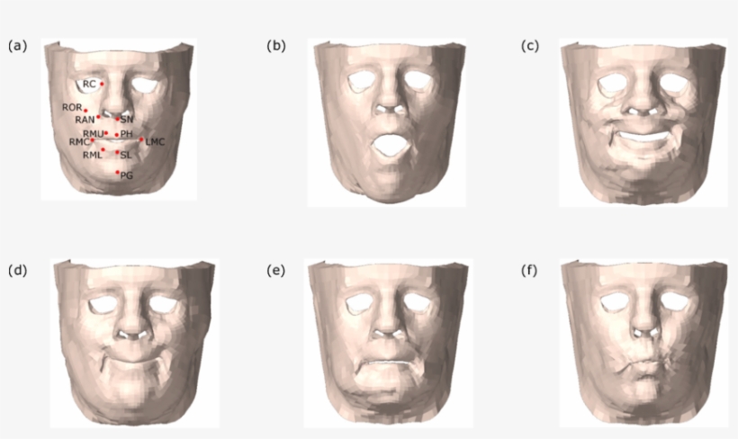 Facial Landmarks - Sketch PNG Image | Transparent PNG Free Download on ...