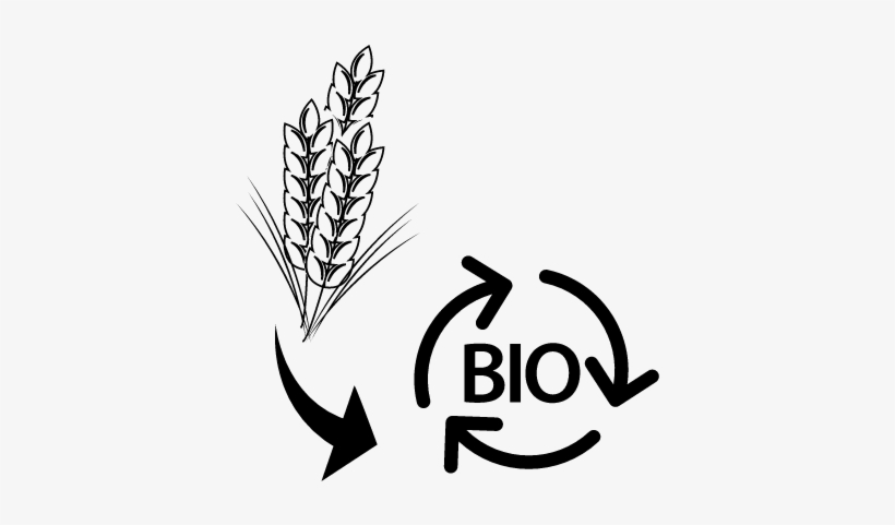 Wheat Waste To Bio Mass Vector - Biomass Icon PNG Image | Transparent ...
