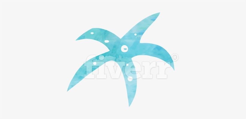 Marine Invertebrates PNG Image | Transparent PNG Free Download on SeekPNG