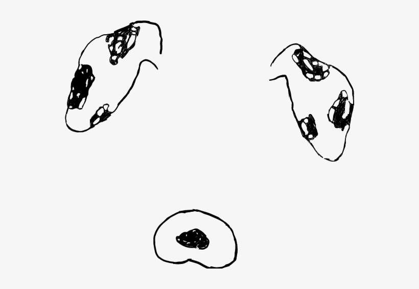 Filter Dog Ears Ear B612 Snapchat Cute Adorable Eco - Ear PNG Image ...