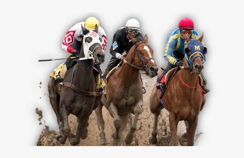 Horse Race Png - Flat Racing PNG Image | Transparent PNG Free Download ...