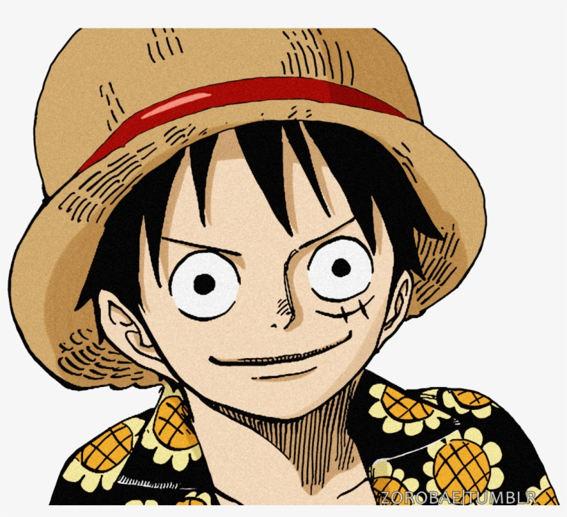 #i Just Really Like This Panel #one Piece #one Piece - Cartoon PNG ...