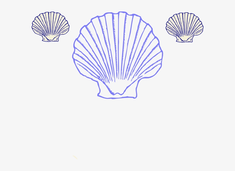 Original Png Clip Art File Three Shells Svg Images PNG Image ...