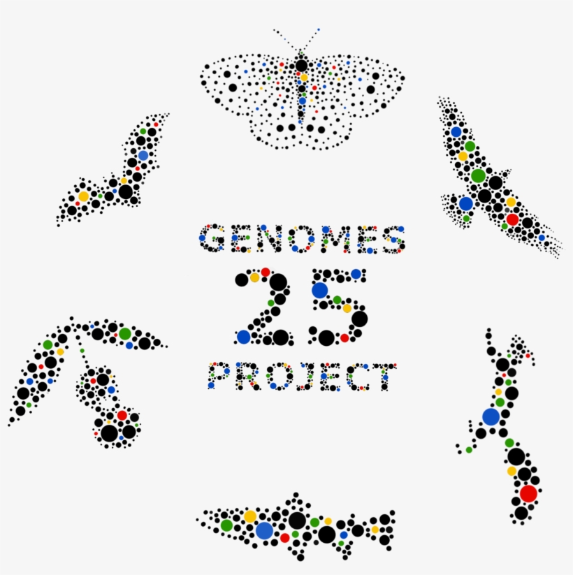 25genomeslogo - 100,000 Genomes Project PNG Image | Transparent PNG ...