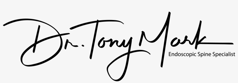 Vertebral Column PNG Image | Transparent PNG Free Download on SeekPNG