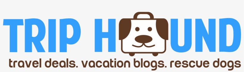 Spca Of Texas PNG Image | Transparent PNG Free Download on SeekPNG