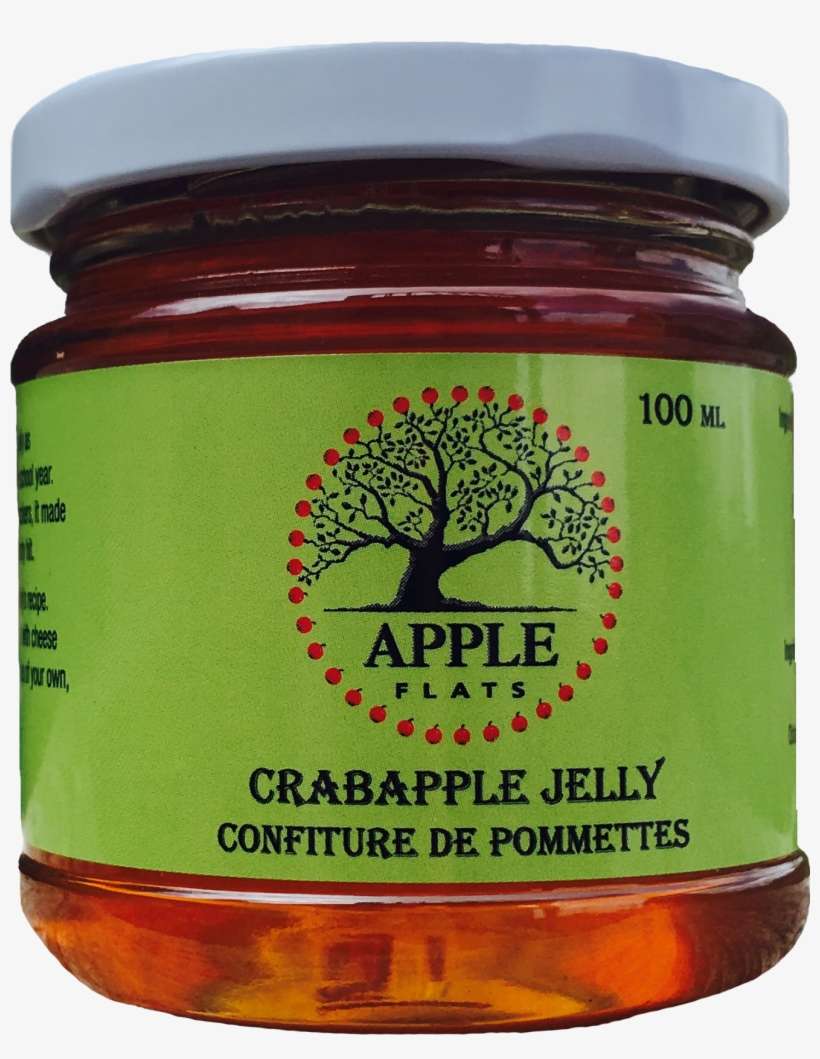 4 Slices Of Organic Sprouted Power Multigrain Bread - Chutney PNG Image ...