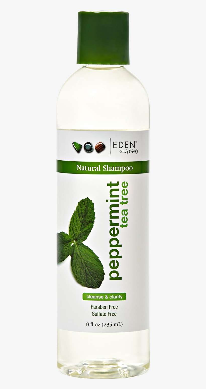 Peppermint Tea Tree Shampoo By Eden Bodyworks - Eden Bodyworks ...