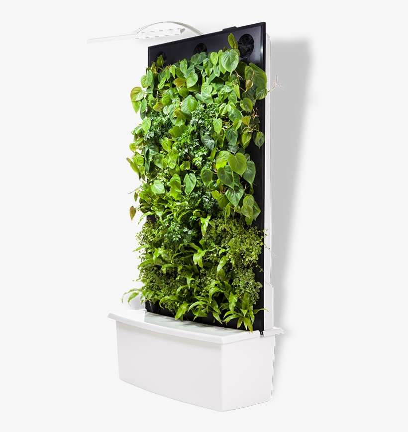 State Of The Art Naava Green Walls Look Beautiful And - Flowerpot PNG ...